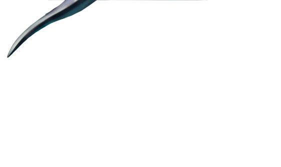 Ecco The Dolphin - Official Website | Ecco The Dolphin